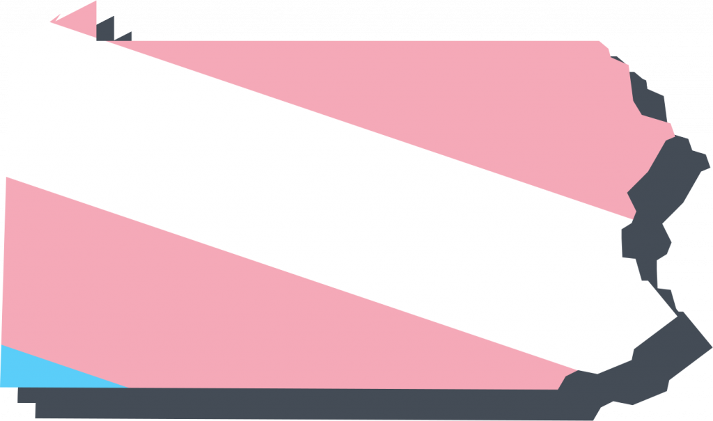 Gender-Affirming Hormone Therapy in Pennsylvania — Plume